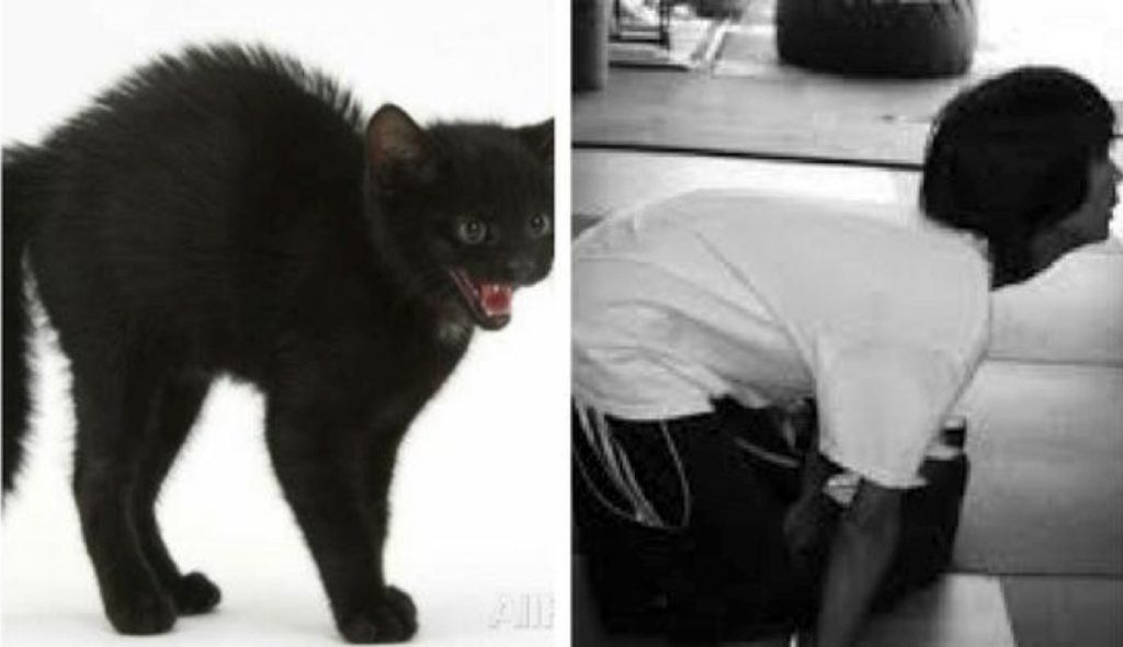 The Complete Deadlift Guide: Master The Full Body Exercise