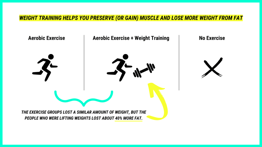 Does Having More Muscle Really Increase Your Metabolism?